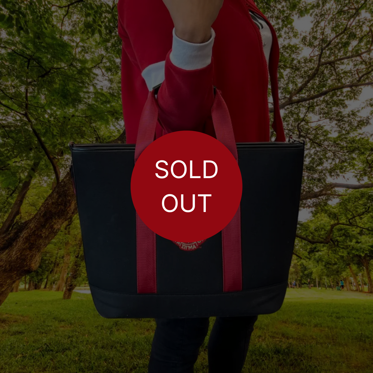DELTA SIGMA THETA QUIET FIRE TOTE BAG – Hey Greeks