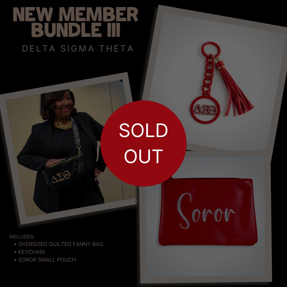NEW MEMBER BUNDLE III - DELTA SIGMA THETA – Hey Greeks