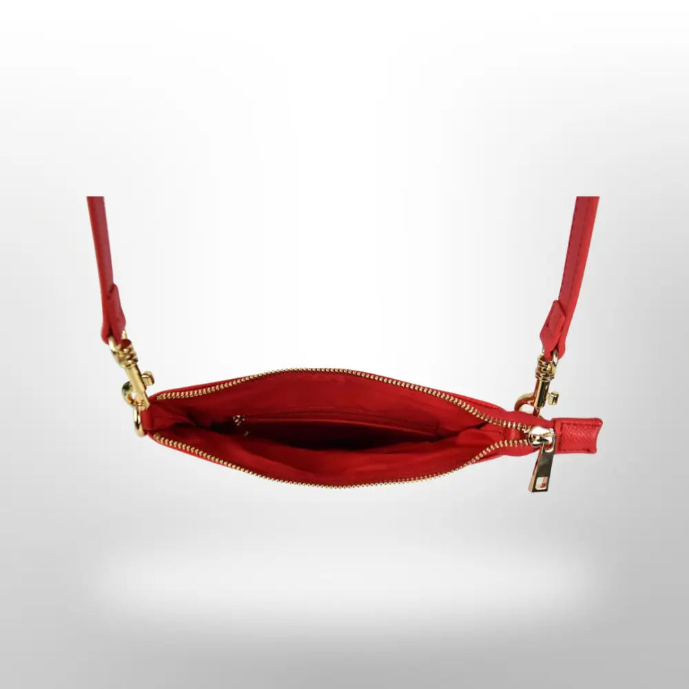 Delta Sigma Theta Crossbody I Bag – Hey Greeks